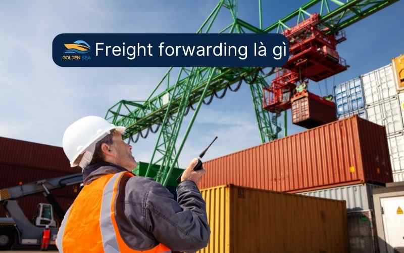 Top 3 các công ty Freigh forwarder tại Việt Nam lâu năm